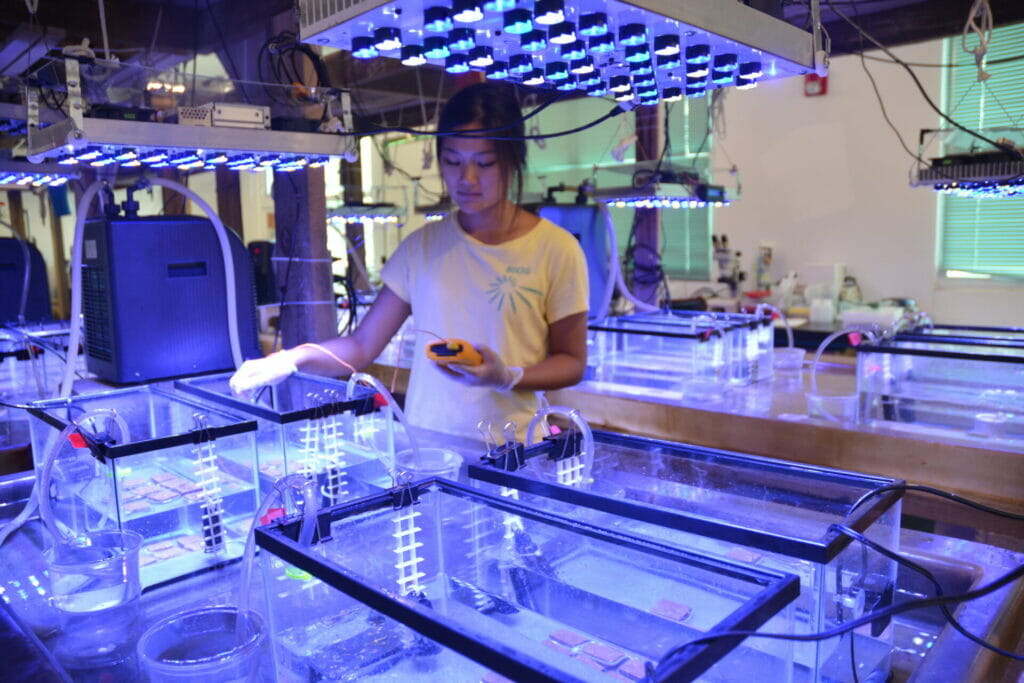 Home - School of Ocean Futures