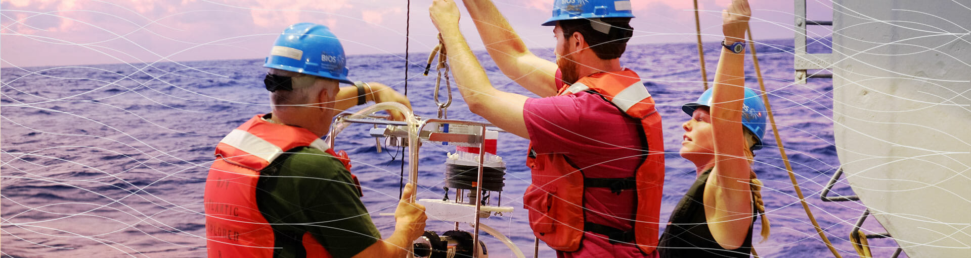Staff - School of Ocean Futures